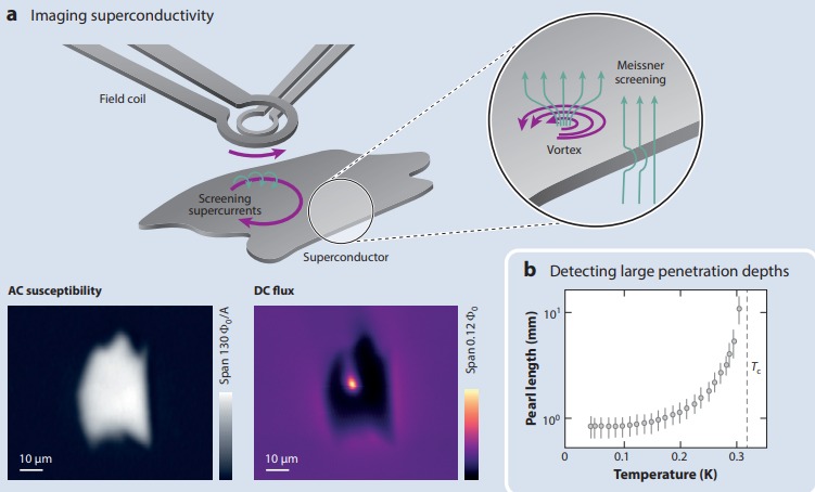Publications | beena lab